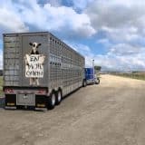 ATS EXPANSION V9 1.50 | American Truck Simulator Mod